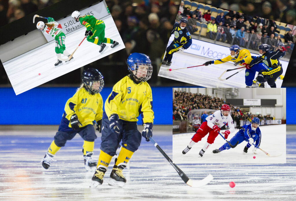 FIB - FIB HISTORY AND REGULATIONS