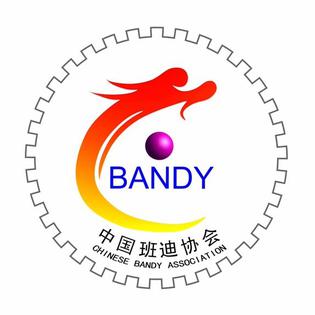 FIB meets Chinese Bandy - WORLDBANDY.COM